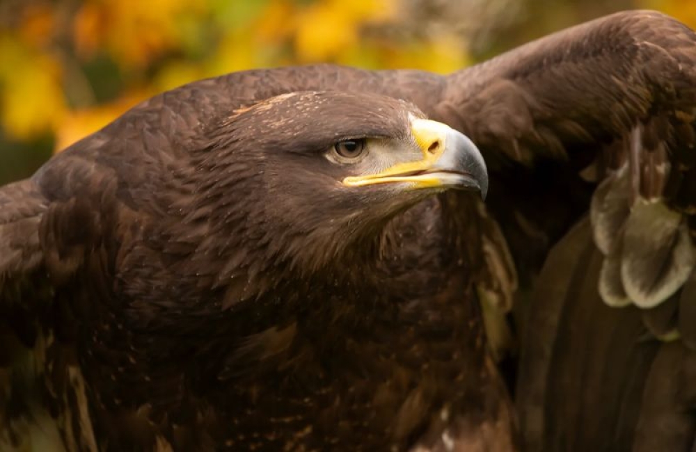 Attraction Offers | Red Funnel Ferries